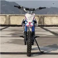 China 110cc 125cc Gasoline Dirt Bike Pit Bike for Adults Electric Start 17 inch Front Tire for sale
