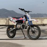 China 110cc 125cc Gasoline Dirt Bike Pit Bike for Adults Electric Start 17 inch Front Tire for sale