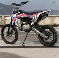 China 110cc 125cc Gasoline Dirt Bike Pit Bike for Adults Electric Start 17 inch Front Tire for sale