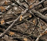 China Woven Camouflage Printed Fabric 58/60 Inch for Military Uniforms and Outdoor Gear for sale
