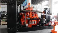 China Cummins 250KW 1000KW Natural Gas Generator Set Biogas Electric Generator For Home 60HZ for sale