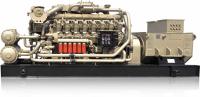 China 10KW 300KVA Cummins Biogas Power Natural Gas Standby Generator That Run On Natural Gas 50Hz for sale