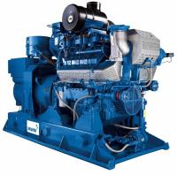 China 10MW Portable Diesel Inverter Methane Gas Electric Generator Doosan 2000A for sale