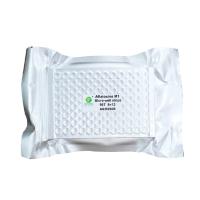 China ISO9001 Mycotoxin Urine Testing  Aflatoxin M1 ELISA Kit For Fresh Milk Dairy 96Wells/Kit for sale