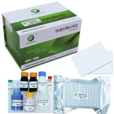 China Antibody Brucella Brucellosis Diagnostic ELISA Kit  For Bovine Sheep Pig ISO9001 for sale