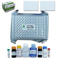China Avian Influenza Virus ELISA Anti Body Test Kit Diagnostic 96Wells/Kit ISO9001 for sale