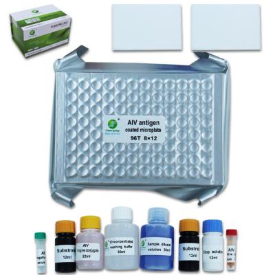 China Avian Influenza Virus ELISA Anti Body Test Kit Diagnostic 96Wells/Kit ISO9001 for sale