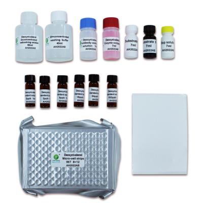 China Deoxynivalenol Medical Diagnostic ELISA Kits 2ppb For Feed 96 Wells/Kit Sensitivity for sale