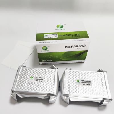 China 10min Swine Fever Virus Antibody Diagnostic ELISA Kit For Pig 192 Wells/Kit for sale