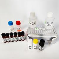 China Trichothecenes T-2 Peanut Test Kit ELISA Aflatoxin Testing Equipment For Feed Rice 3ppb for sale