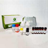 China Fumonisin B1 Mycotoxin Testing Kits For Feed Peanut Maize 96 Wells/Kit Green Spring for sale