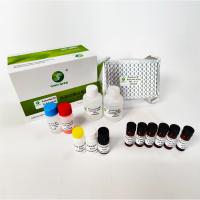 China Fumonisin B1 Mycotoxin Testing Kits For Feed Peanut Maize 96 Wells/Kit Green Spring for sale