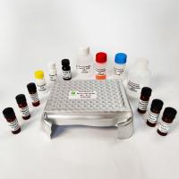 China Mycotoxin Ochratoxin A Rapid Test Kit For Feed Grain 96 Wells/Kit Sensitivity 0.1 Ppb for sale
