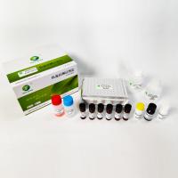 China 0.1ppb Zearalenone Mycotoxin Testing Kits For Feed Corn 96 Wells/Kit for sale
