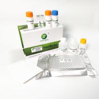 China Peste Des Petits Ruminants Virus PPRV Veterinary Test Kit Ab ELISA Kit For Ovine for sale