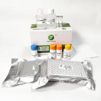 China Porcine Japanese B Encephalitis Virus Swine Influenza Test Kit Ab ELISA 192 Wells/Kit GMP for sale