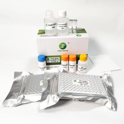 China Porcine Japanese B Encephalitis Virus Swine Influenza Test Kit Ab ELISA 192 Wells/Kit GMP for sale