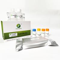 China Trichinella Spiralis Ts Swine Flu Rapid Test Kit ELISA Test Kit 96 Wells/Kit GMP for sale