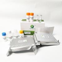 China PRV Porcine Pseudorabies GB Swine Flu Test Kit Antibody ELISA Diagnostic 192 Wells/Kit GMP for sale