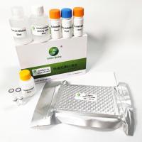 China Swine Influenza Virus Antibody ELISA Test Kit One Step Rapid 192 Wells/Kit for sale