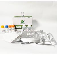 China Porcine Foot And Mouth Disease Virus Porcine Test Kit 3ABC Antibody 192 Wells/Kit for sale