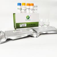 China Porcine Toxoplasma Rapid Test Kit Toxoplasma IgG ELISA Antibody Test Kit 192 Wells/Kit for sale