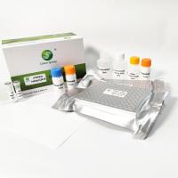 China PRRSV Porcine Test Kit Porcine Reproductive And Respiratory Syndrome Virus Antibody ELISA for sale