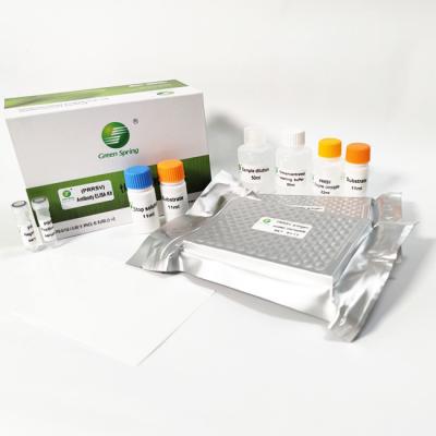 China PRRSV Porcine Test Kit Porcine Reproductive And Respiratory Syndrome Virus Antibody ELISA for sale