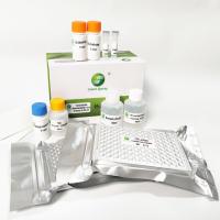 China TGE Swine Transmissible Gastroenteritis Porcine Test Kit Antibody ELISA 192 Wells/Kit for sale