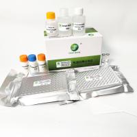 China 192 Wells/Kit Virus Porcine Test Kit Type A Foot And Mouth Disease Test ISO9001 for sale