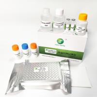 China Virus Rabies Canine ELISA Test Kit 96 Wells/Kit ISO9001 Antibody for sale