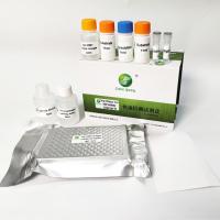 China H5N1 Avian Influenza Rapid Test Kit ELISA Rapid Anti Body For Poultry 96 Wells/Kit for sale