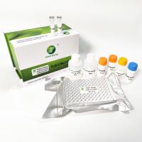 China Pullorum Disease Pd Fowl Typhoid Ft Ab Check Rapid Test Kit For Antibody for sale