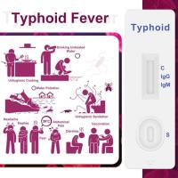 China Typhoid IgM / IgG Rapid Antibody Test Cassette One Step 40 Tests/Kit for sale
