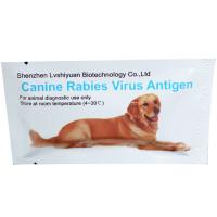 China Canine Rabies Virus Antigen Pet Rapid Test Kit , Rabies Test Kit For Dogs 10 Tests for sale
