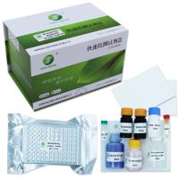 China Brucellosis Veterinary ELISA Test Kit for Bovine Goat Sheep Pig Dog for sale