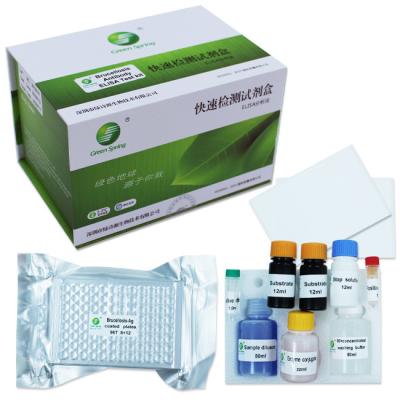 China Brucellosis Veterinary ELISA Test Kit for Bovine Goat Sheep Pig Dog for sale