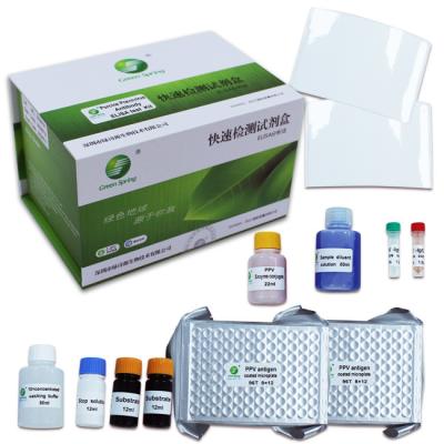 China ISO9001 Diagnostic Porcine Veterinary Test Kit 192 Wells Per Kit PPV for sale