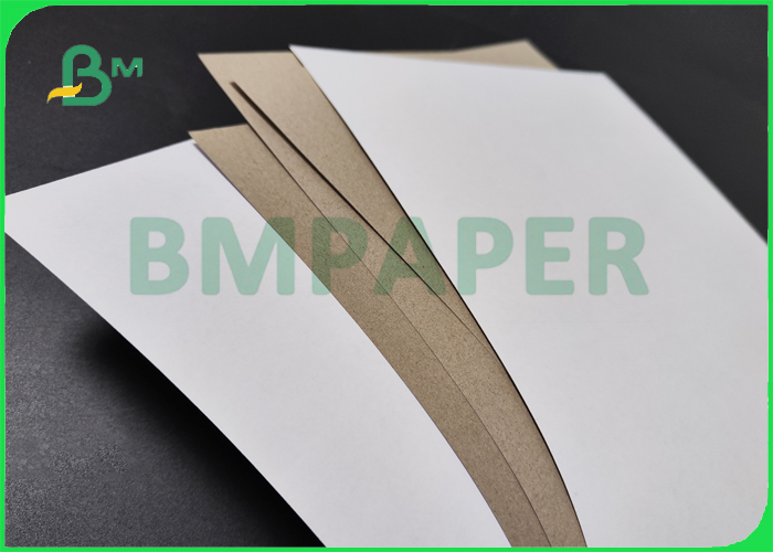 300gsm 350gsm Coated Duplex Board For Shoes Box 24" x 36" Good Printability