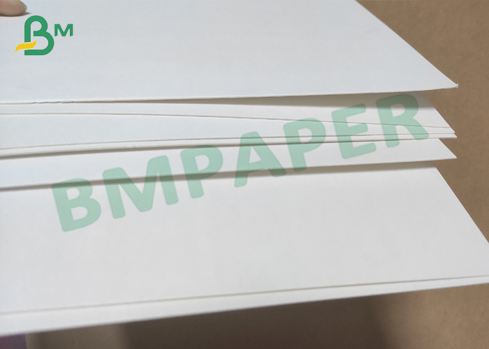 absorbent pulpboard from guangzhou bmpaper co., ltd