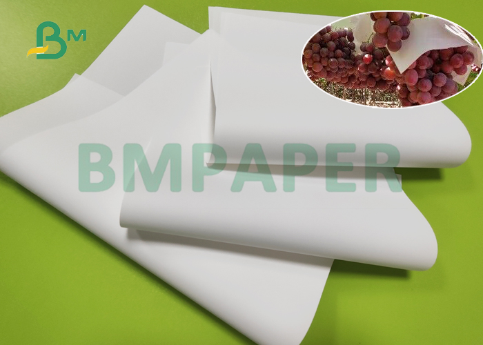  100mic White Grape Protect Paper 30 x 30cm Waterproof And Tear Resistant
