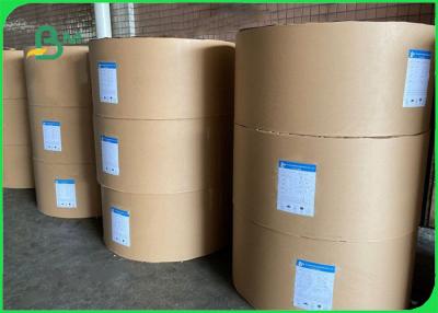 China 1S PE 240 gsm + 20g Cup Stock Paper For Hot Drinks 747mm 886mm Recyclable for sale