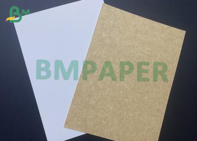 China 250gsm Coated Kraft Paper C1S One Side White One Side Kraft 889 X 650mm for sale