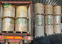 China 150 - 300g + 15 gsm PE Film Coated Paper For Coffee Cup 650mm 800mm for sale