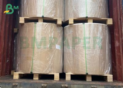 China Food containers Board 190gram 210gram Single / Double Poly Coated Bleached Paper for sale