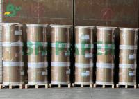 China Food Grade Single-side 230g + 15g PE Coated Cup Paper In Roll for sale