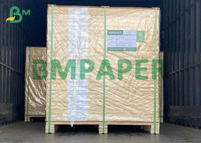 China Food Grade Single-side 230g + 15g PE Coated Cup Paper In Roll for sale