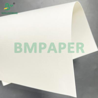 China 200gsm 400gsm Natural White Sugarcane Pulp Food Grade Paper Sheet for sale