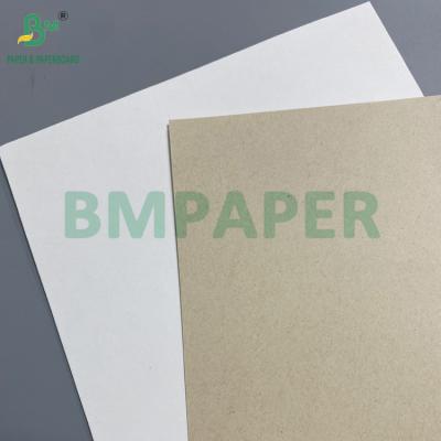 China Biodegradable Food-Grade Sugarcane Paper For Disposable Plates 70gsm to 400gsm for sale