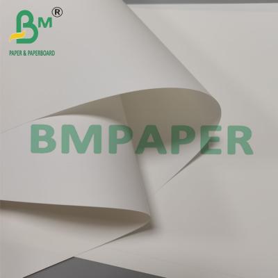 China 250um 260mm Heat Resistant Synthetic Brochure Paper for sale